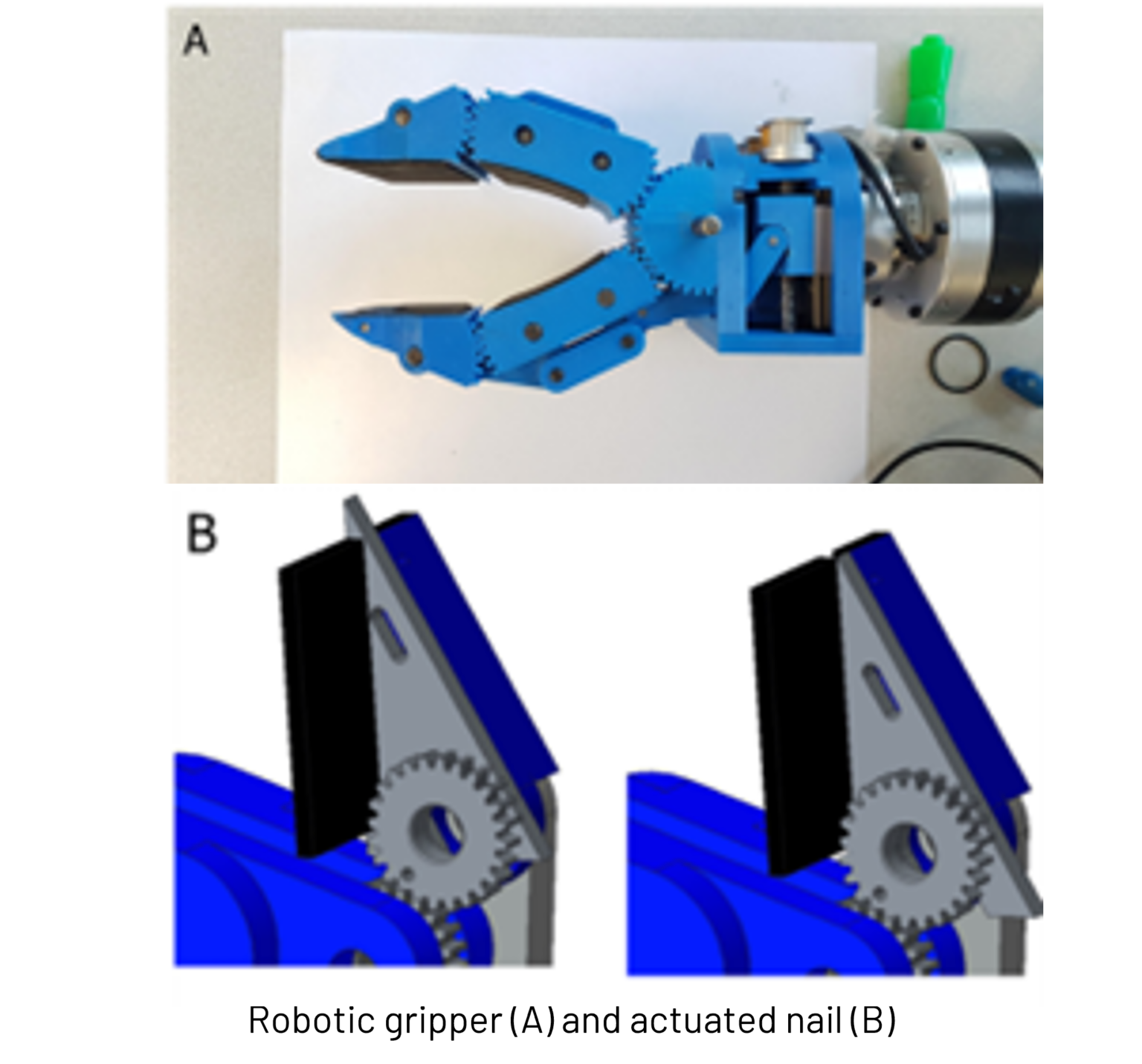 Robot gripper with a retractable nail - Axelys